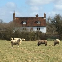 Kent Farm for sale with permitted development – Kent farm for sale in ...